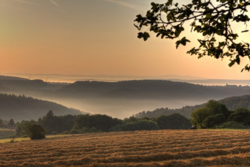 Der Westerwald: Über Wälder, Höhlen und Schächte | Der Varta-Führer