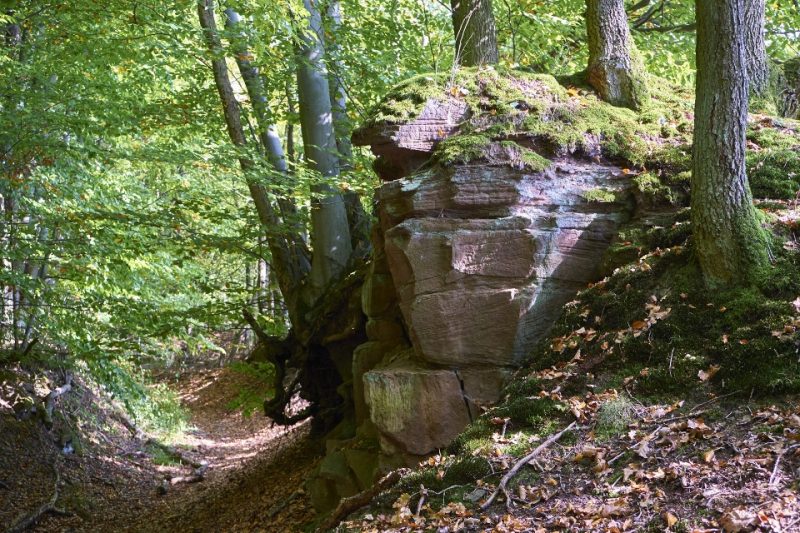 Der Steigerwald: Naturpark zwischen Reben und Wald | Der Varta-Führer