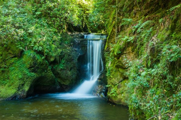 Die 15 schönsten Wasserfälle in Deutschland | Der Varta-Führer