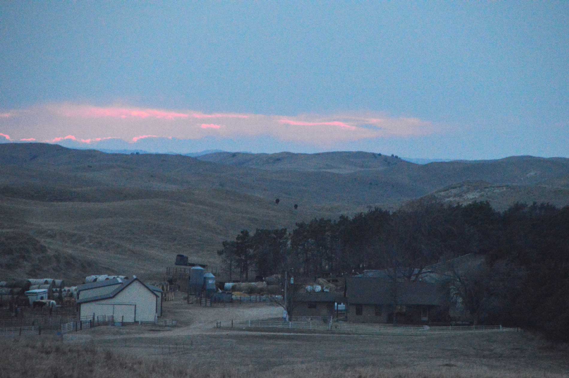 Wagyu von der Morgan Ranch | Foodblog | Der Varta-Führer