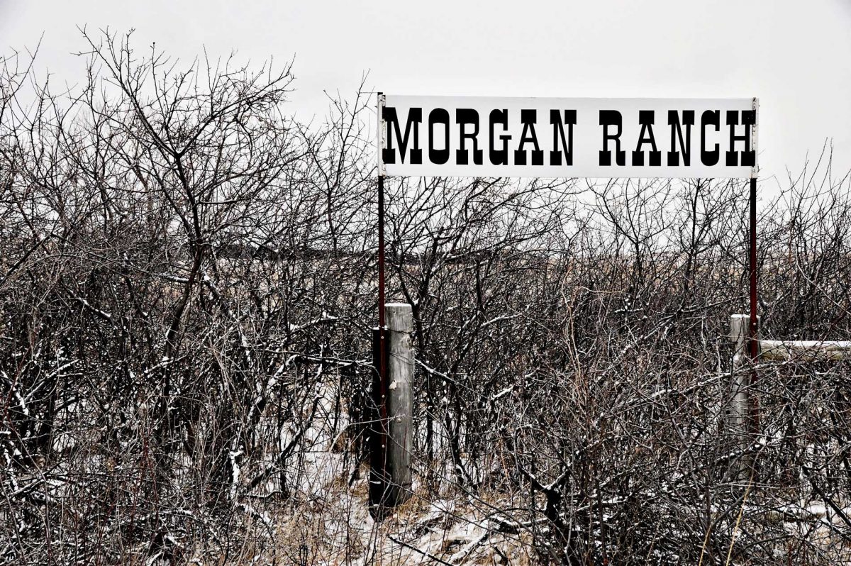 Wagyu von der Morgan Ranch | Foodblog | Der Varta-Führer