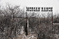 Wagyu von der Morgan Ranch | Foodblog | Der Varta-Führer