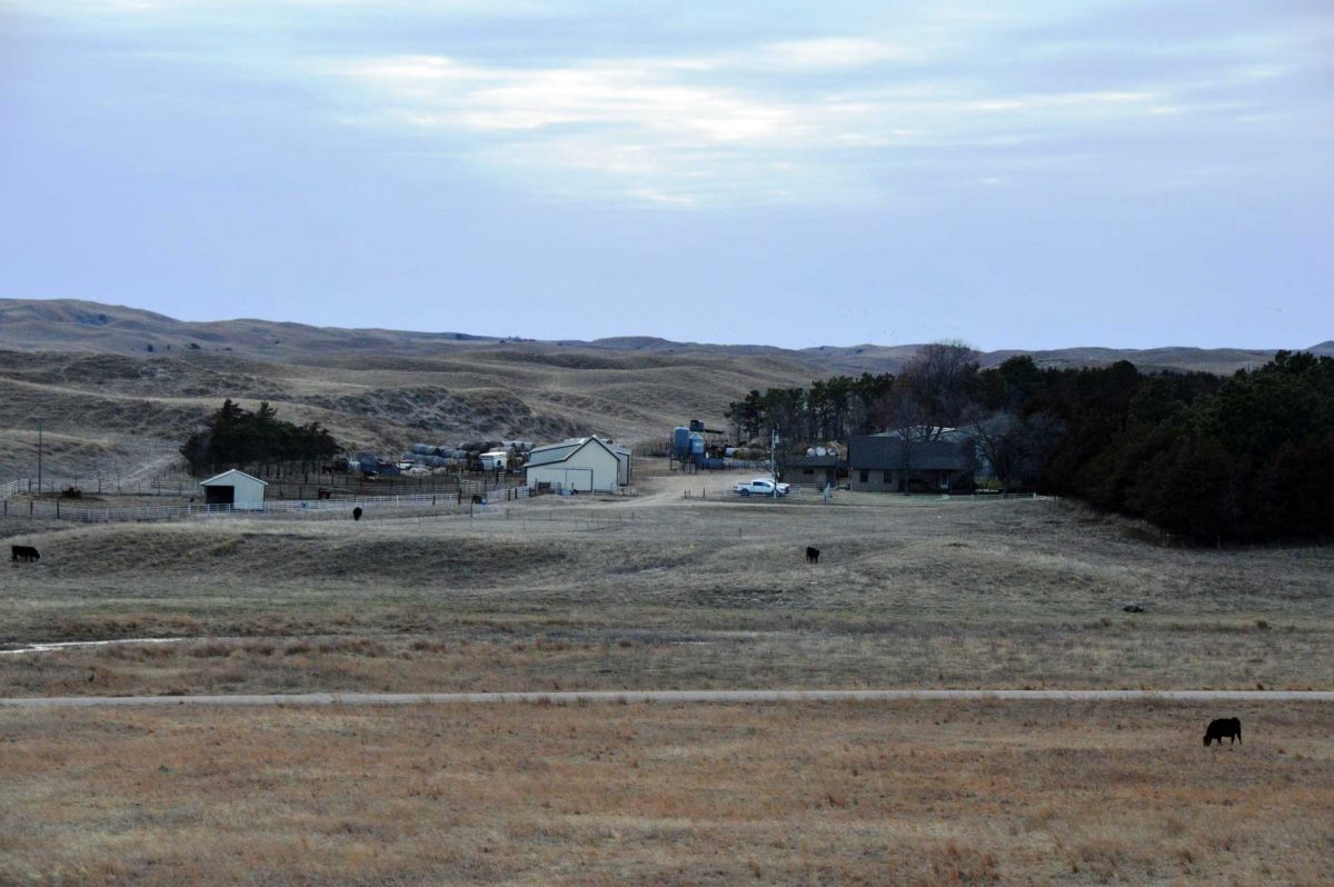Wagyu von der Morgan Ranch | Foodblog | Der Varta-Führer