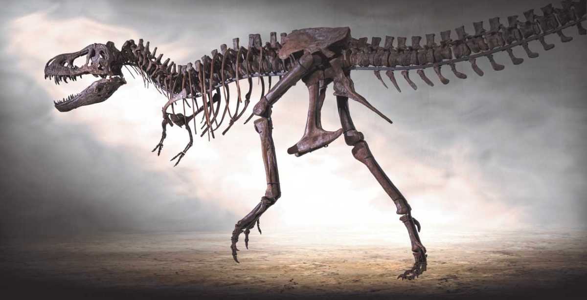 Freizeit-Guide | Dinosauriermuseum Altmühltal | Der Varta-Führer