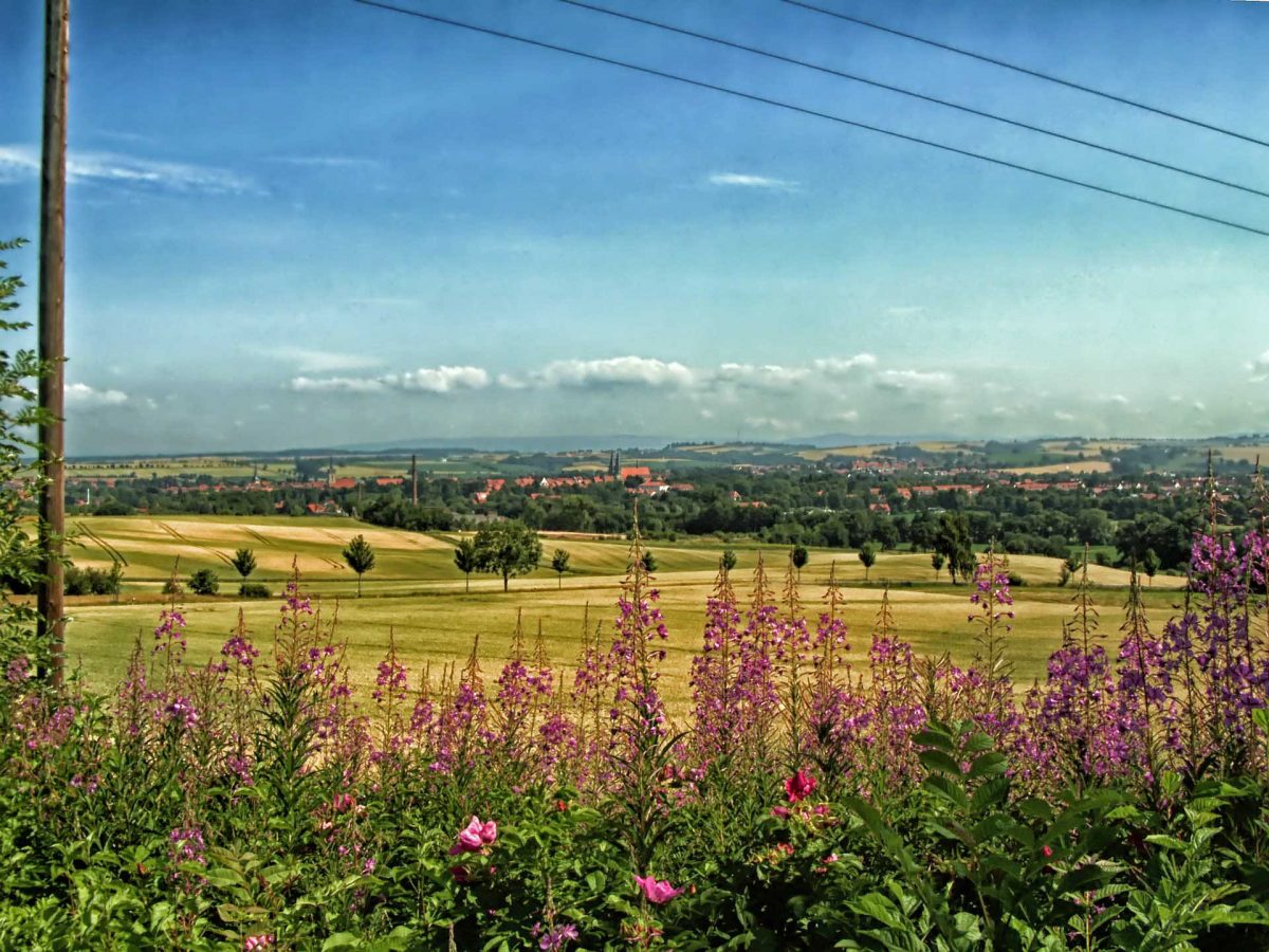 Freizeit-Guide | Regionen | Eichsfeld | Der Varta-Führer