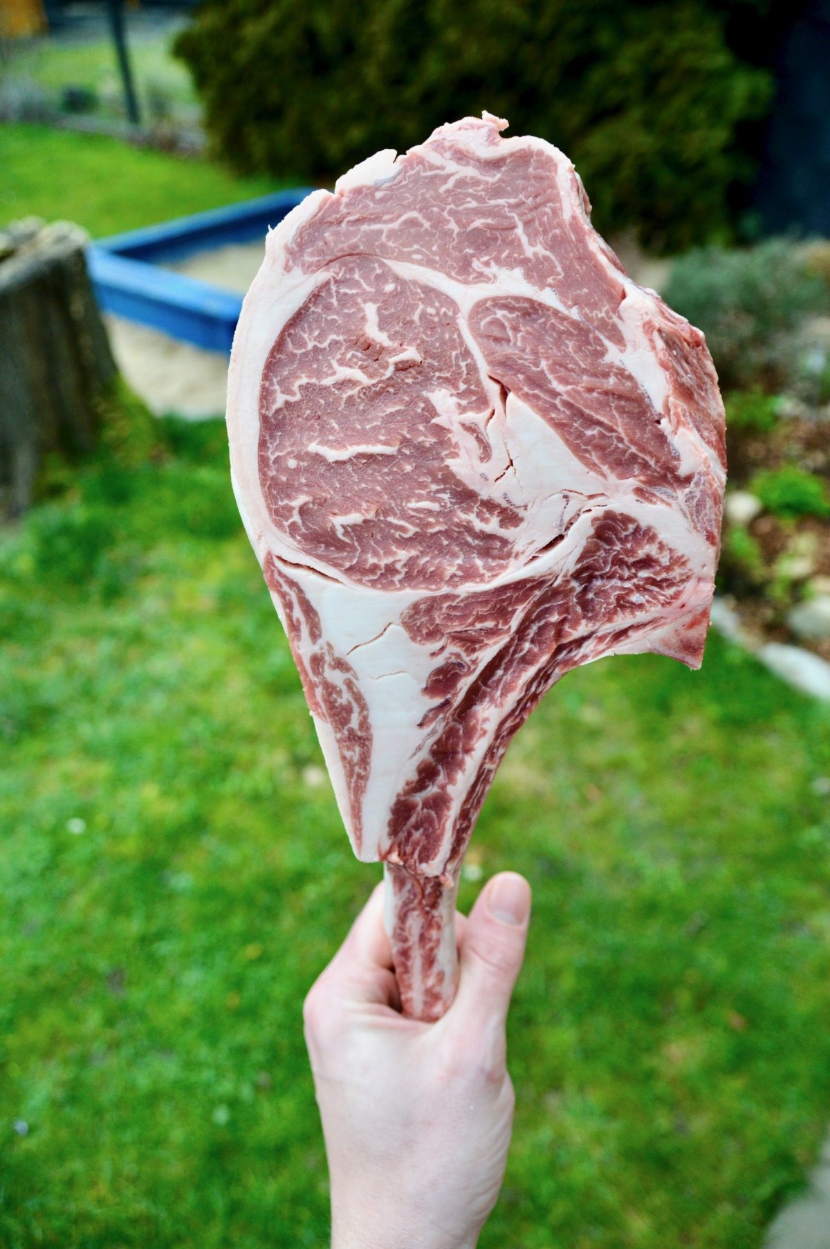 Foodblog-Podcast Folge 1: Fleisch am Knochen | Der Varta-Führer