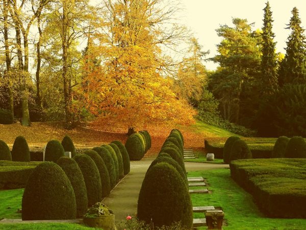 Ohlsdorfer Friedhof: Ein Ort der Ruhe - Varta Freizeit-Guide