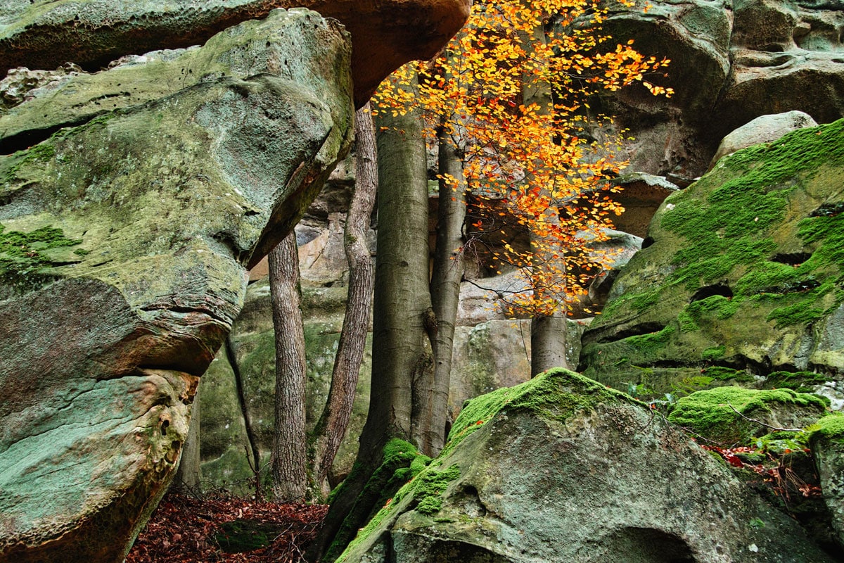 Erlebbarer Schutzraum – UNESCO Global Geopark Mëllerdall