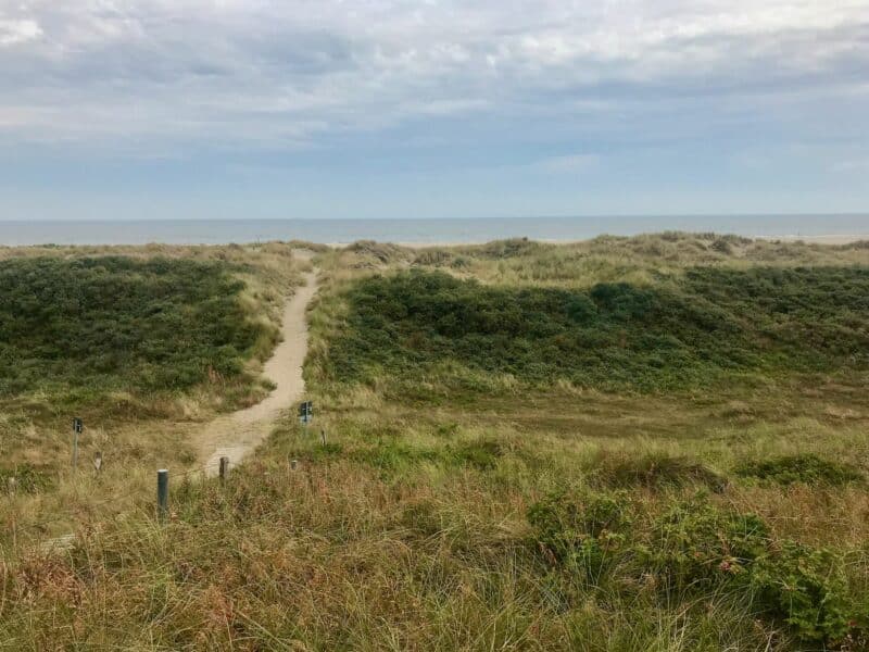 Natur und Erholung auf der Nordseeinsel Wangerooge | Der Varta-Führer