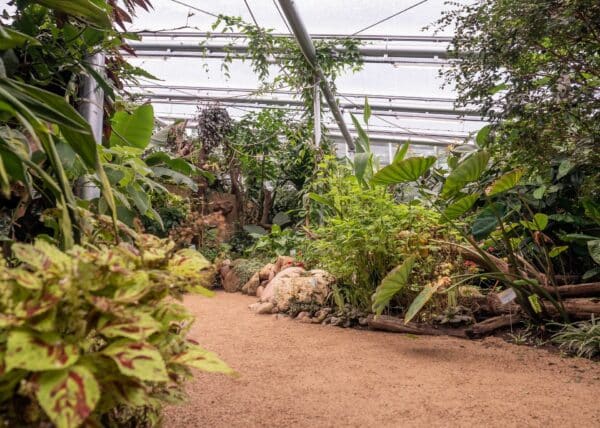 Natur entdecken in der botanika Bremen | Der Varta-Führer