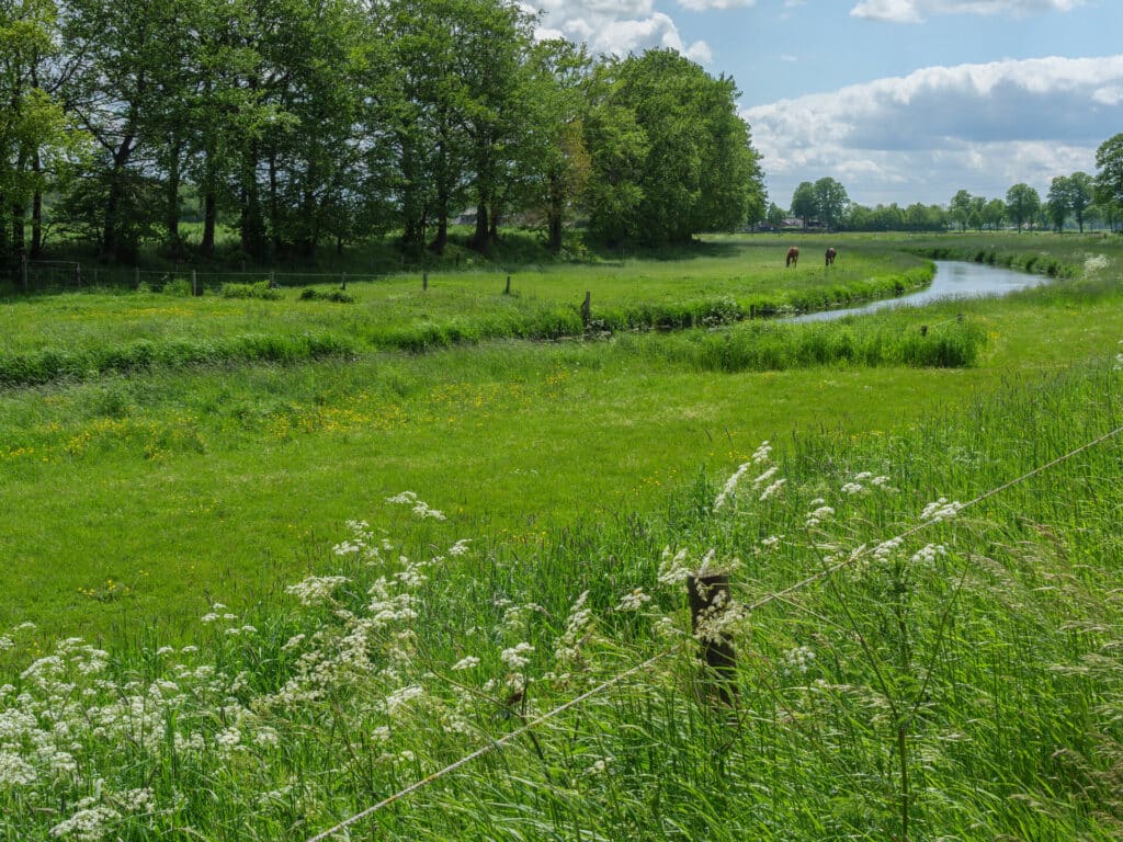 Pure Natur erleben auf dem Hohe Mark Steig | Der Varta-Führer