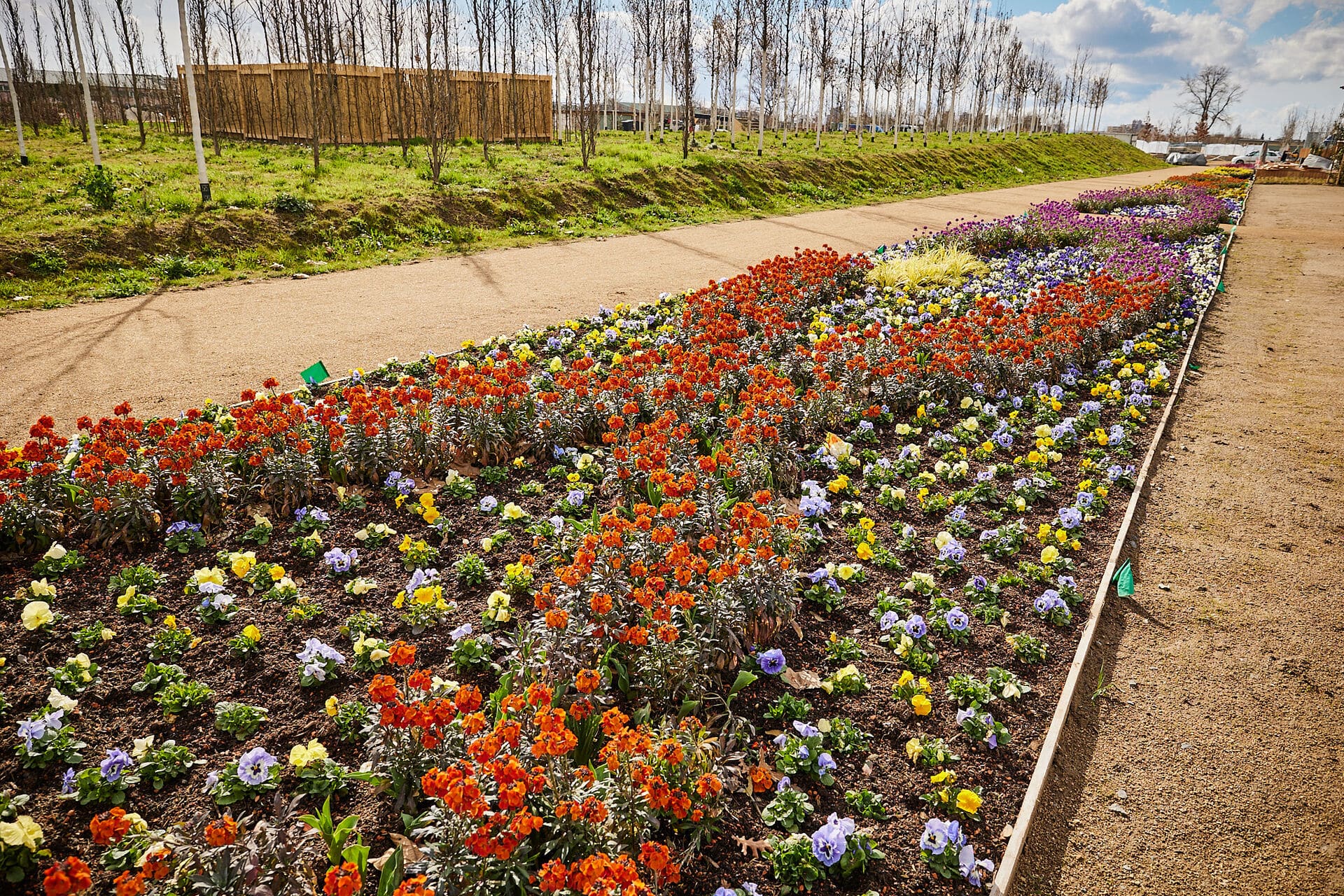 Die BUGA 2023 in Mannheim | Der Varta-Führer