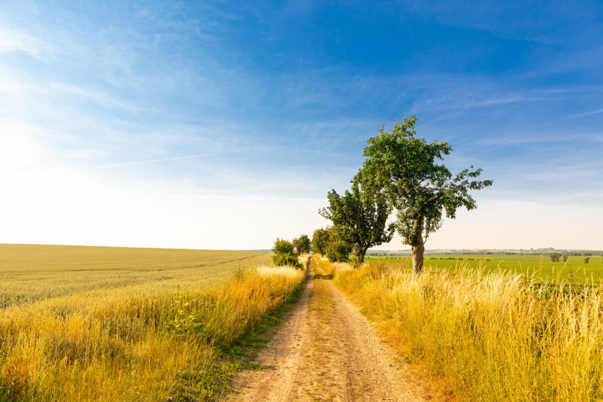 Wohin im August? Reiseziele im Spätsommer | Der Varta-Führer