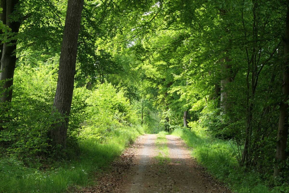 Freizeit-Guide | Westerwald-Steig in Rheinland-Pfalz | Der Varta-Führer